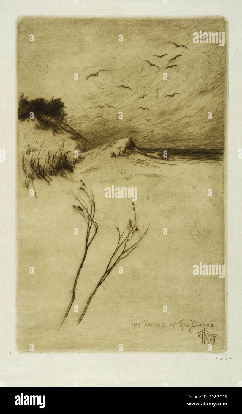 The Voices of the Dunes 1909 by Earl H. Reed, born Geneva, IL 1863-died ...