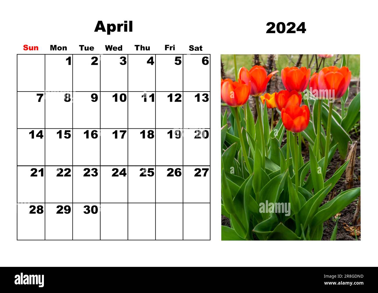 Calendar for 2024, April, with photo of flowers Stock Photo - Alamy