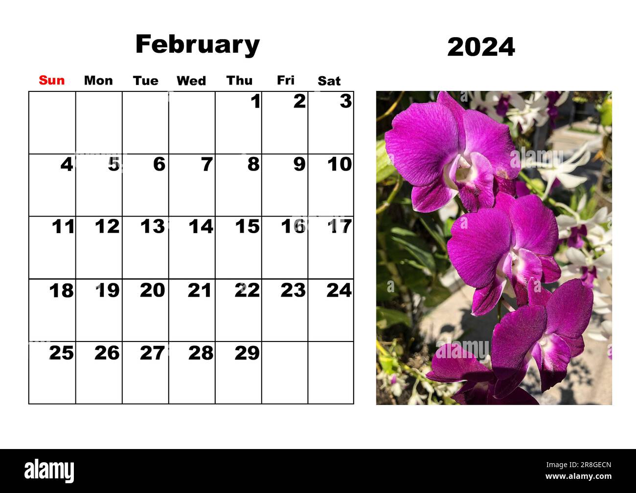 Calendar for 2024, February, with a photo of tropical flowers Stock ...