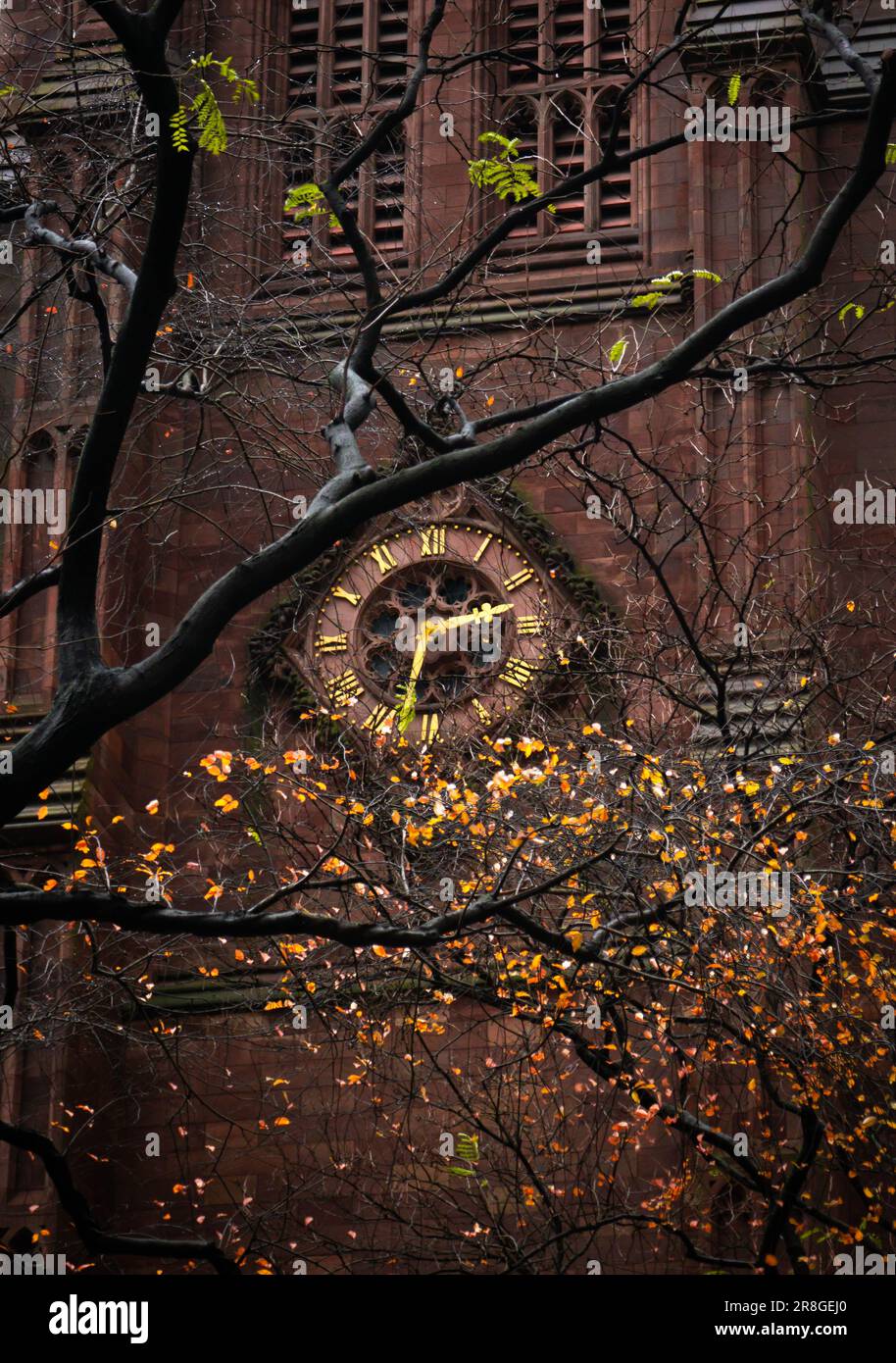Clock tower on trinity hi-res stock photography and images - Alamy
