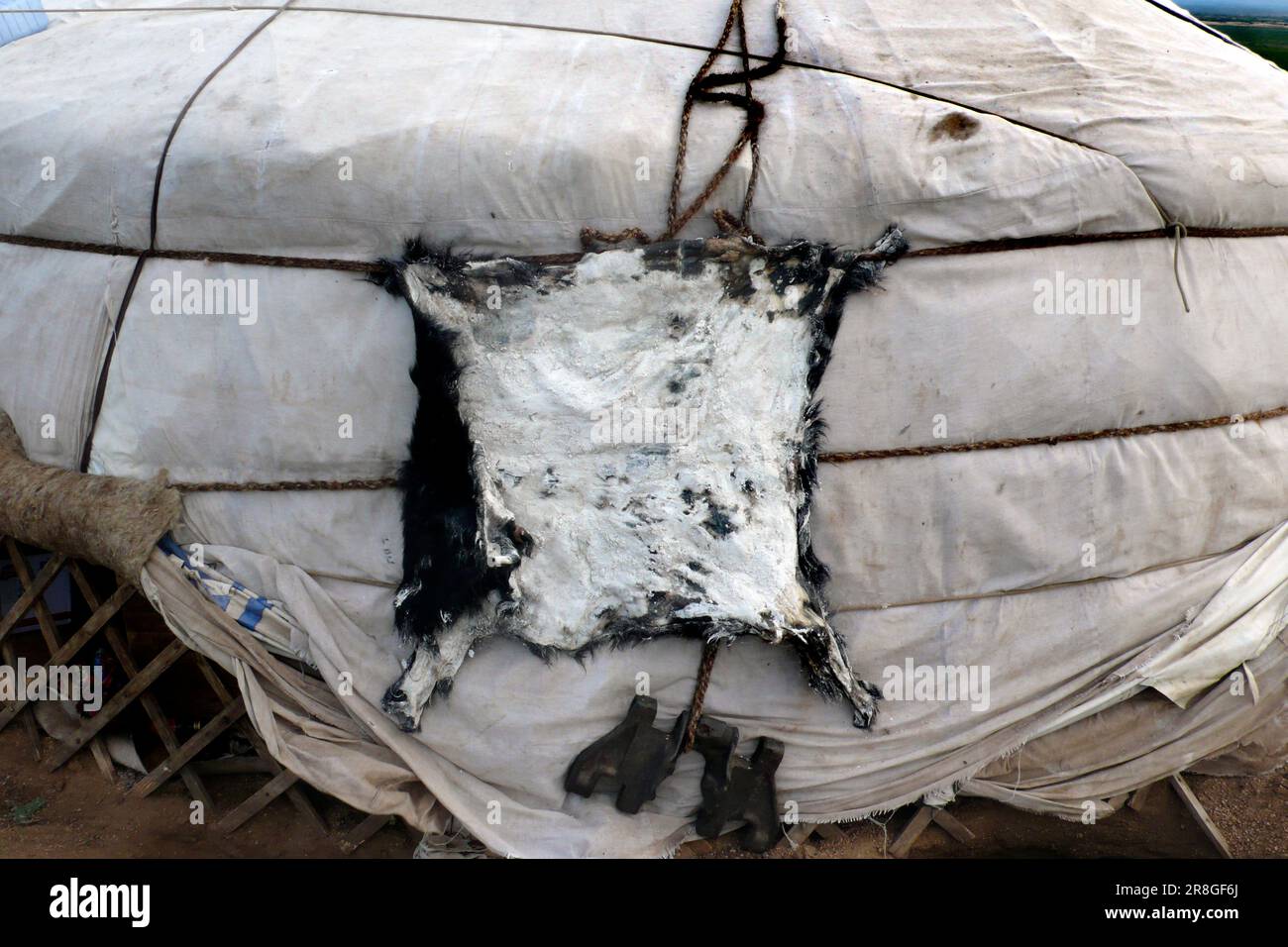 Goatskin hi-res stock photography and images - Alamy