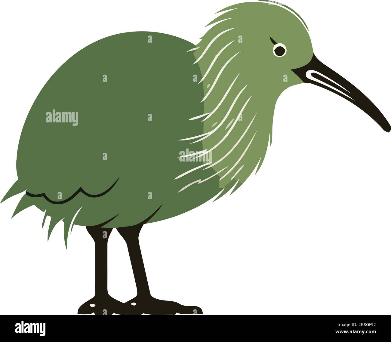 Kiwi Animal Cute