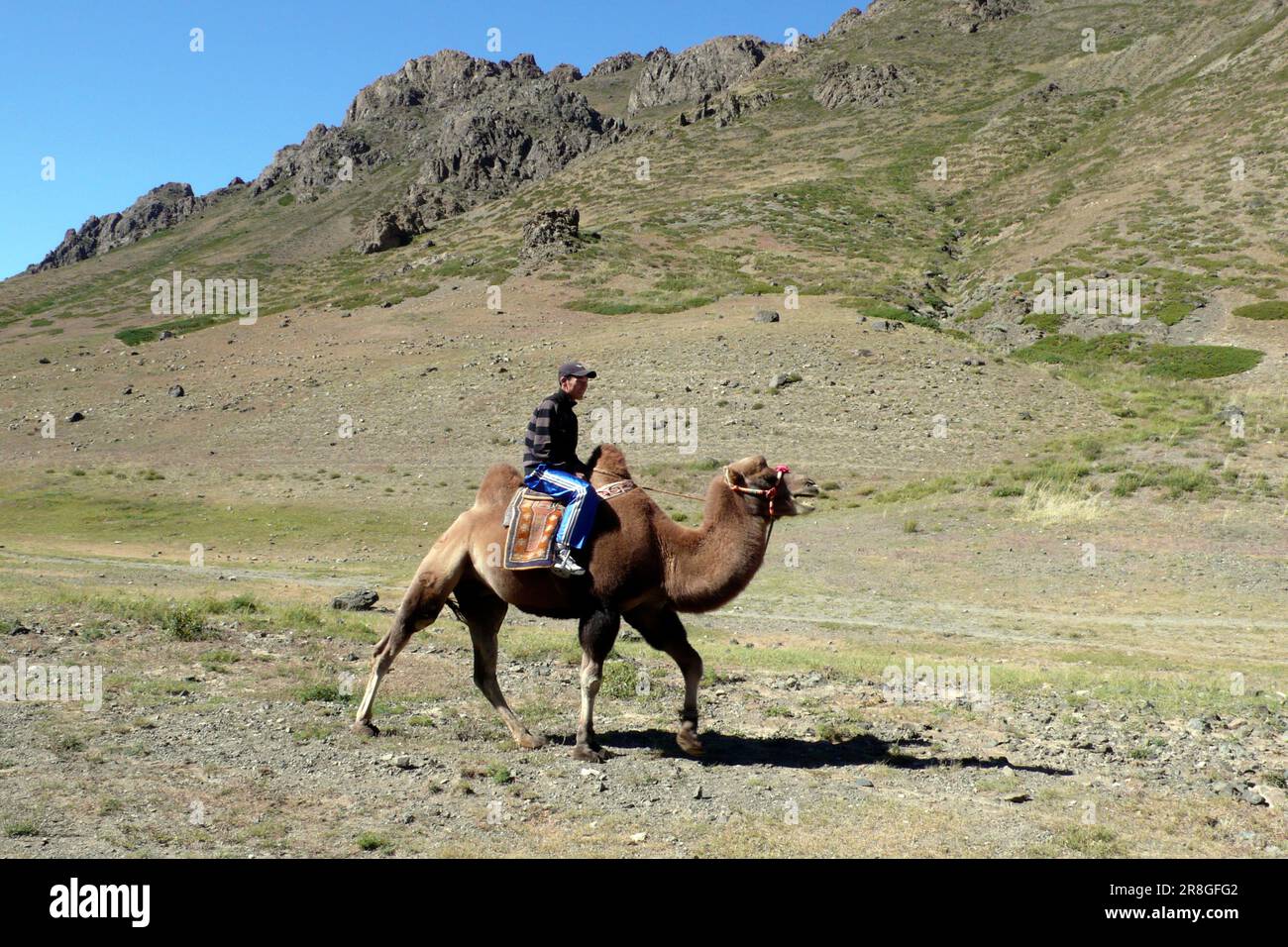 Yol Valley, Gobi Desert, Mongolia Stock Photo - Alamy