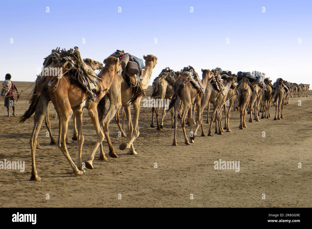 Afar ethiopia nomad hi-res stock photography and images - Alamy