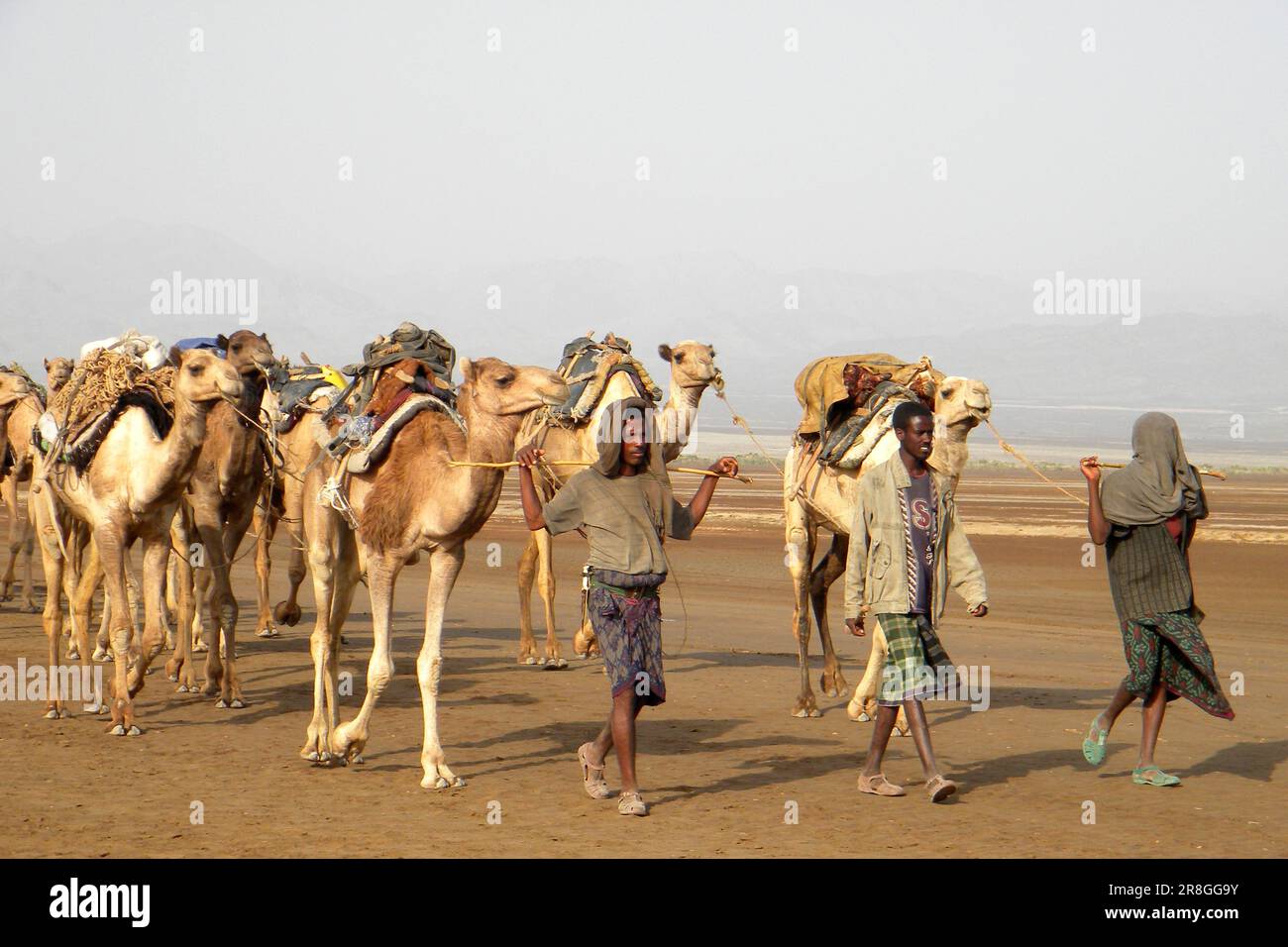 Afar People, Danakil, Ethiopia Stock Photo - Alamy