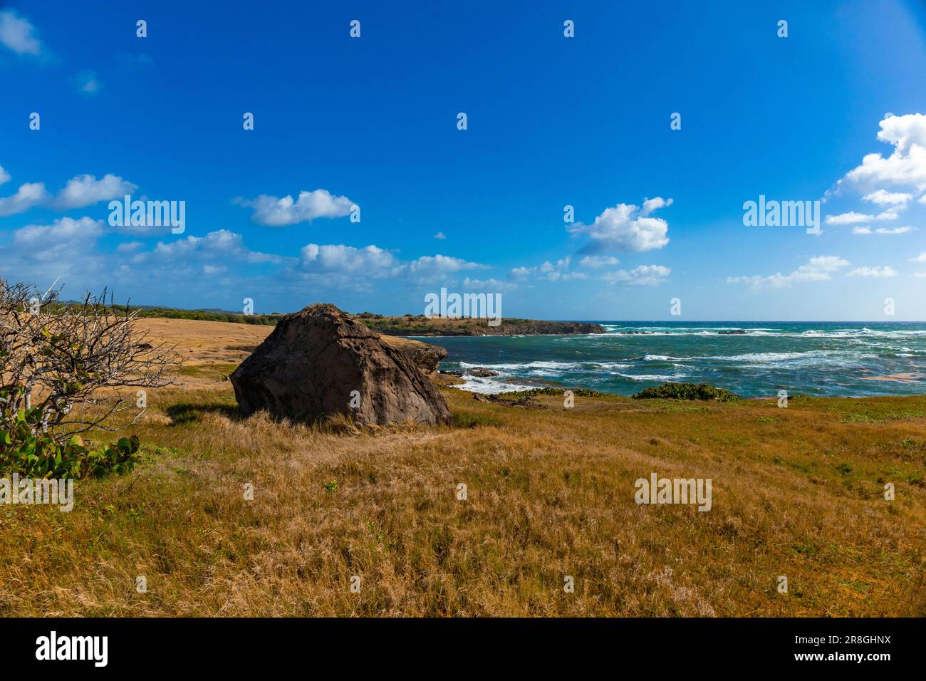 A scenic landscape featuring a large rock in a lush green grassy field ...