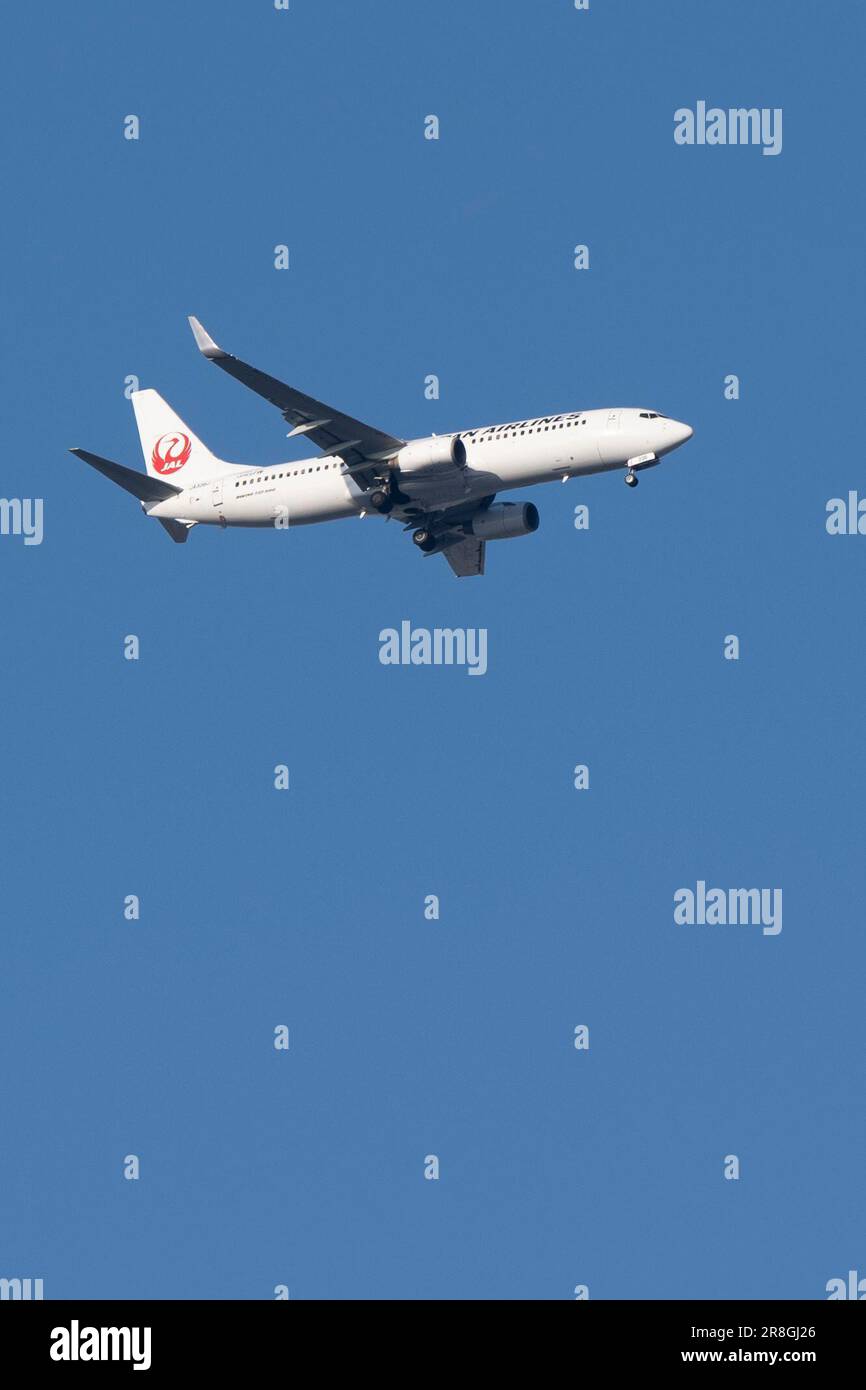 March 3, 2023, Tokyo, Japan: A Japan Airlines Boeing 737-800 on final ...