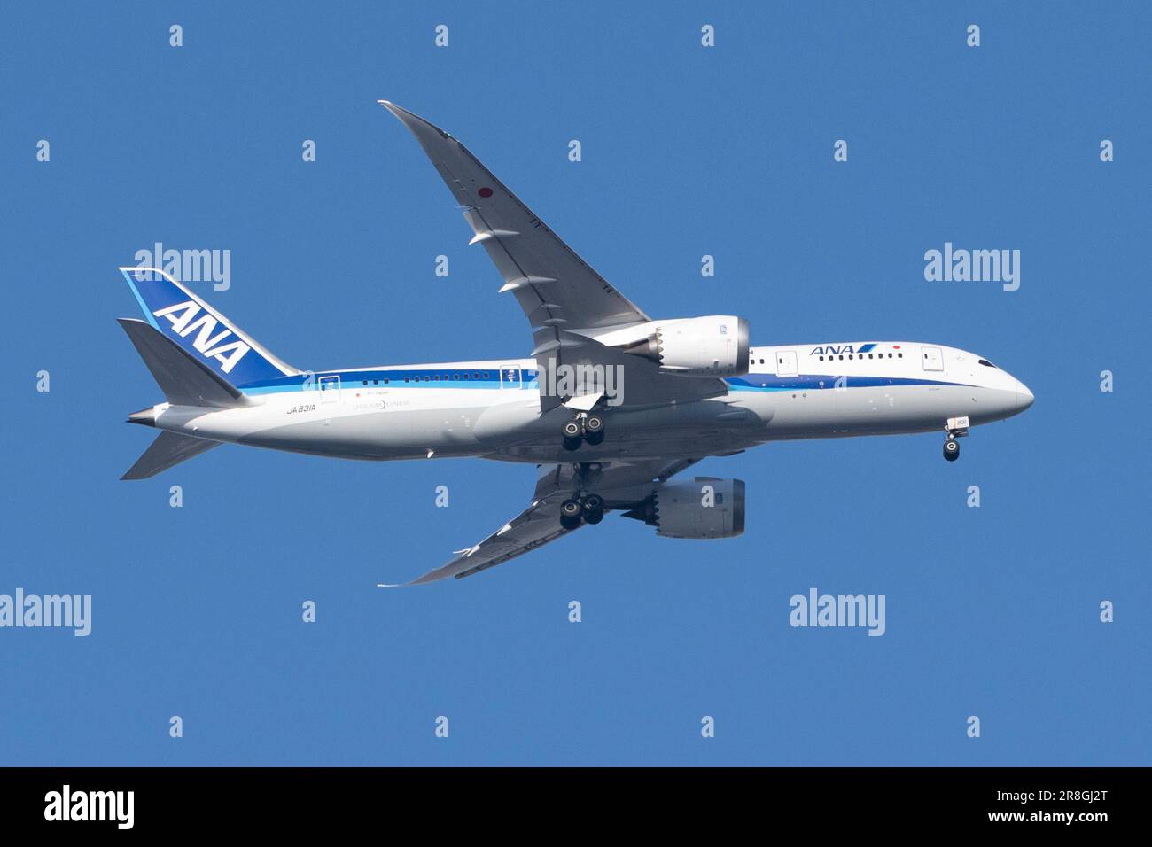 March 3, 2023, Tokyo, Japan: An ANA Boeing 787 Dreamliner on final ...