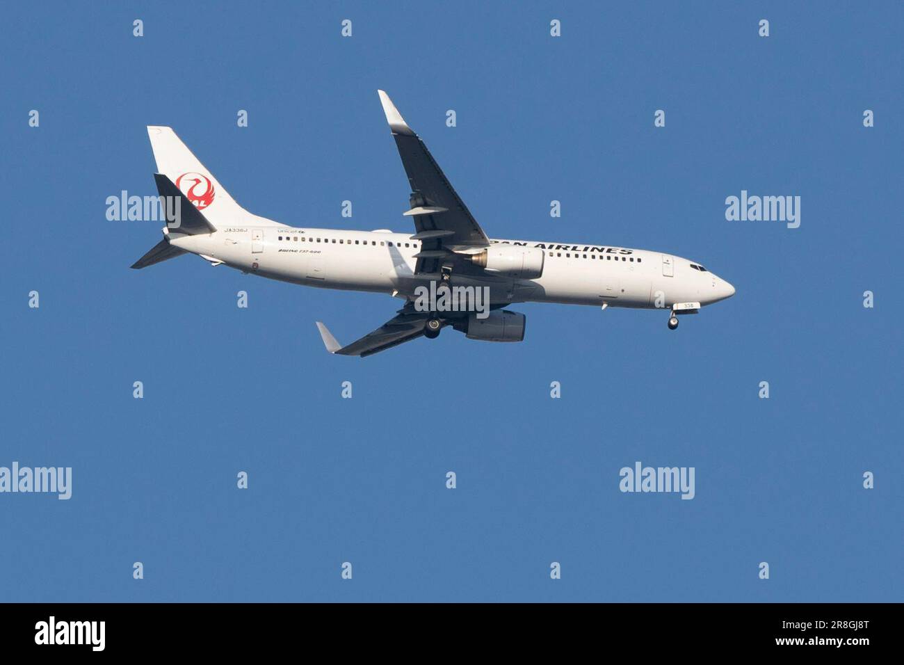 March 3, 2023, Tokyo, Japan: A Japan Airlines Boeing 737-800 on final ...