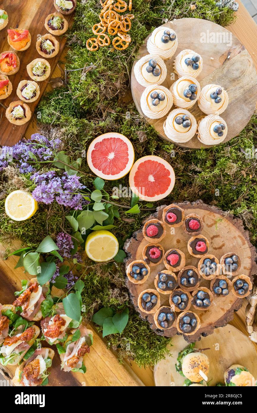 Outdoor reception finger food catering Stock Photo - Alamy