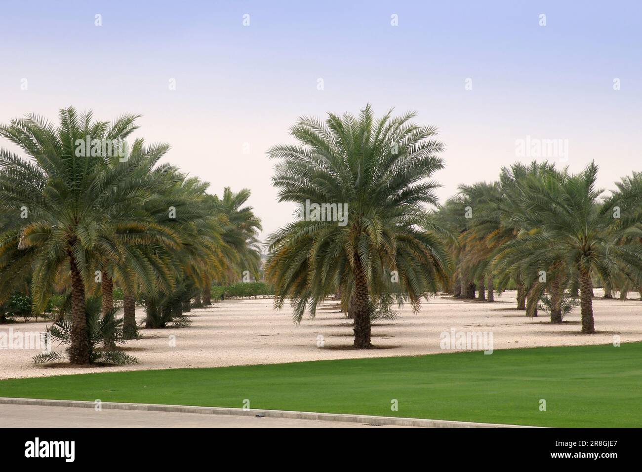 Garden, Muscat, Sultanate of Oman Stock Photo - Alamy