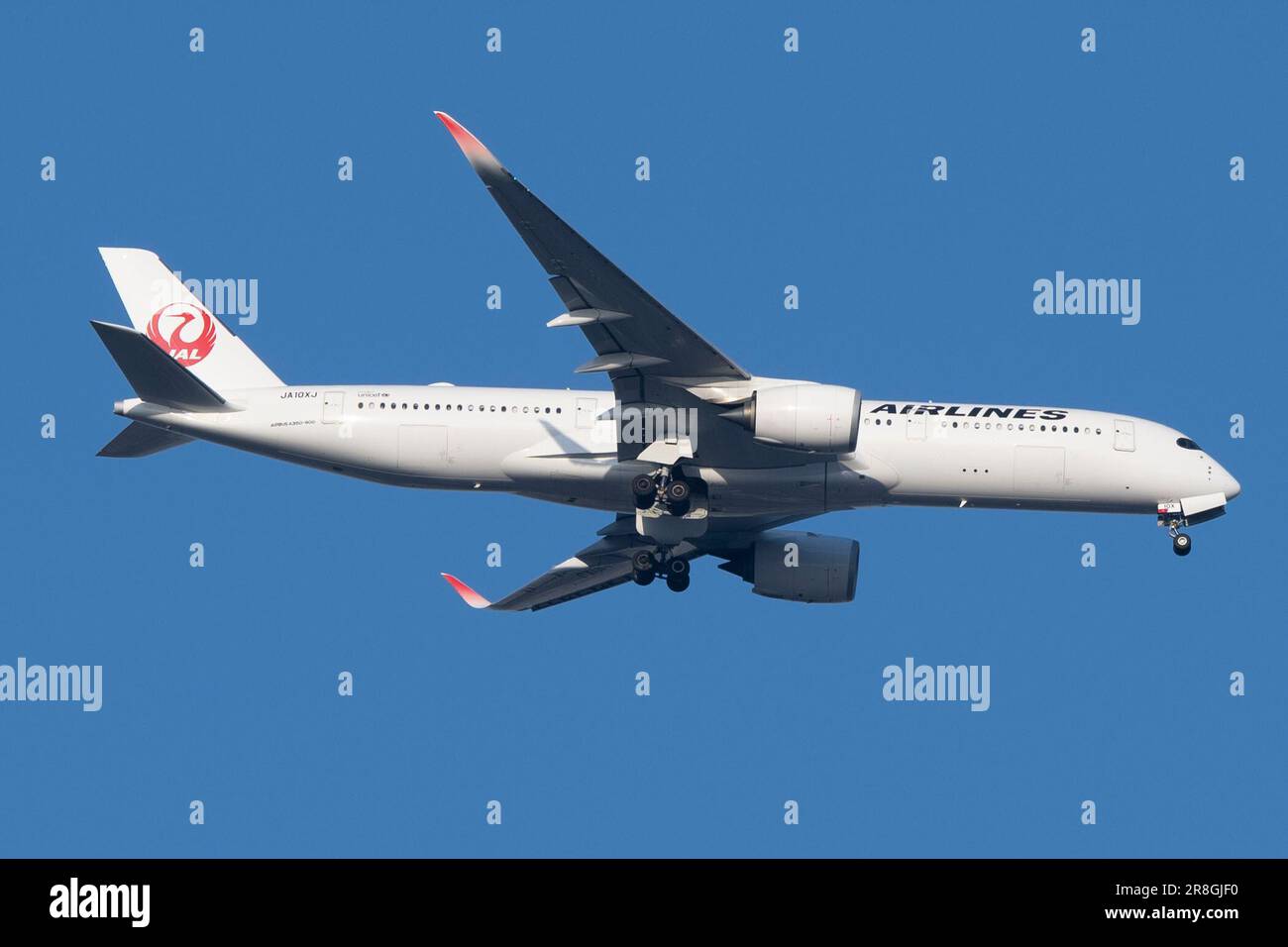 March 3, 2023, Tokyo, Japan: A Japan Airlines Airbus A350-900 on final ...