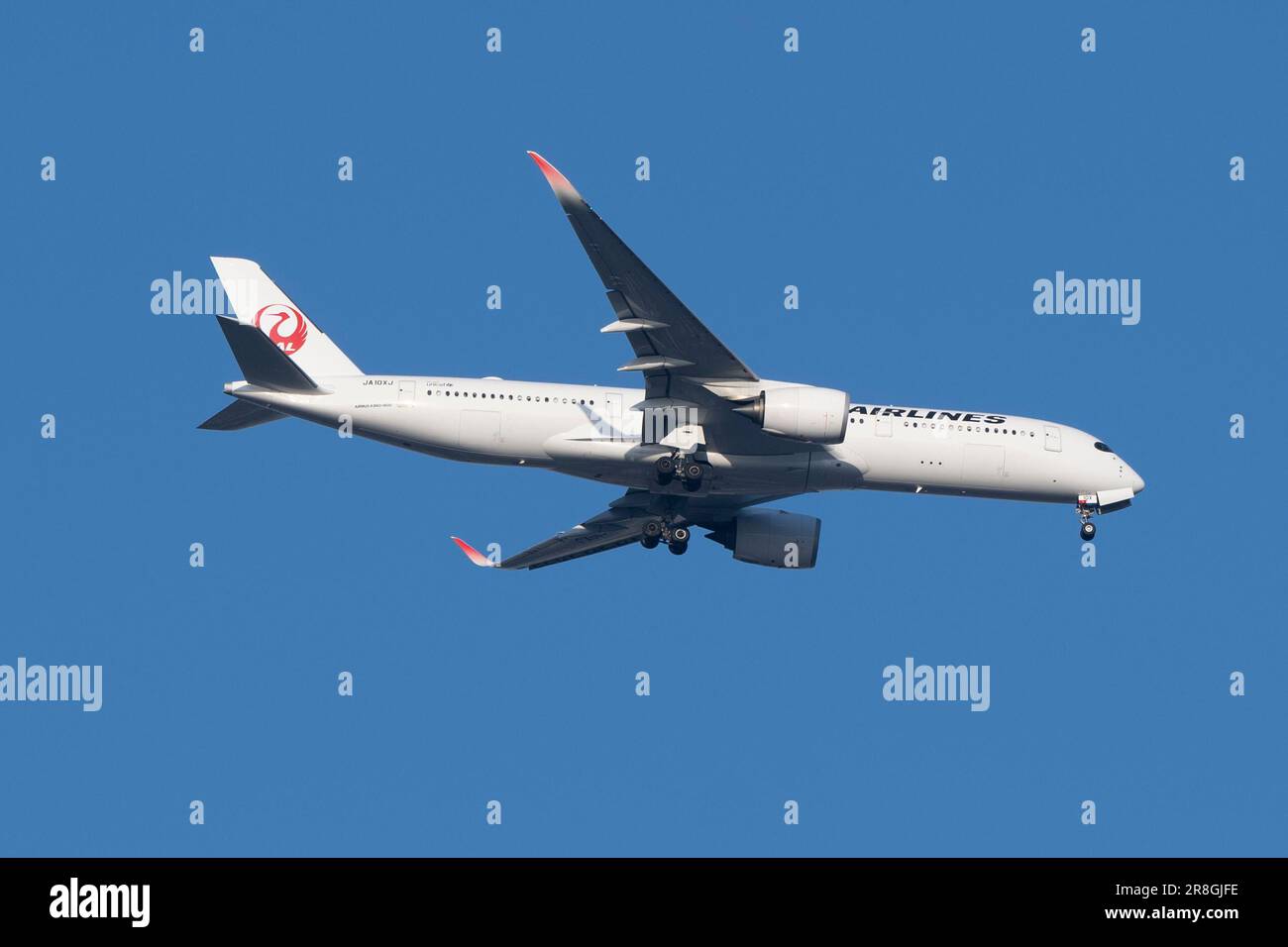 March 3, 2023, Tokyo, Japan: A Japan Airlines Airbus A350-900 on final ...