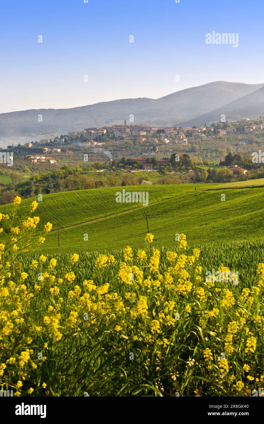 Montecchio italy hi-res stock photography and images - Alamy