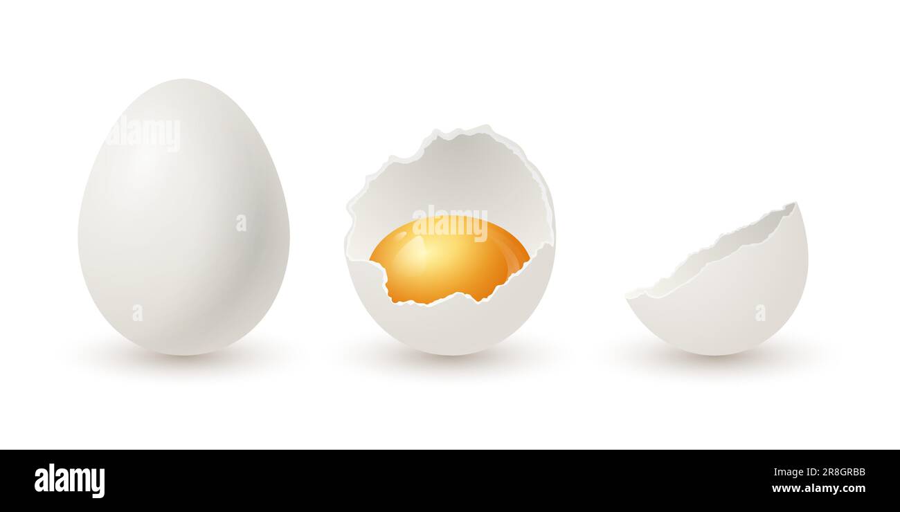Vector 3d Realistic White Chicken Eggs. Whole and Broken Cracked Chicken Egg, Two Parts, Opened ...