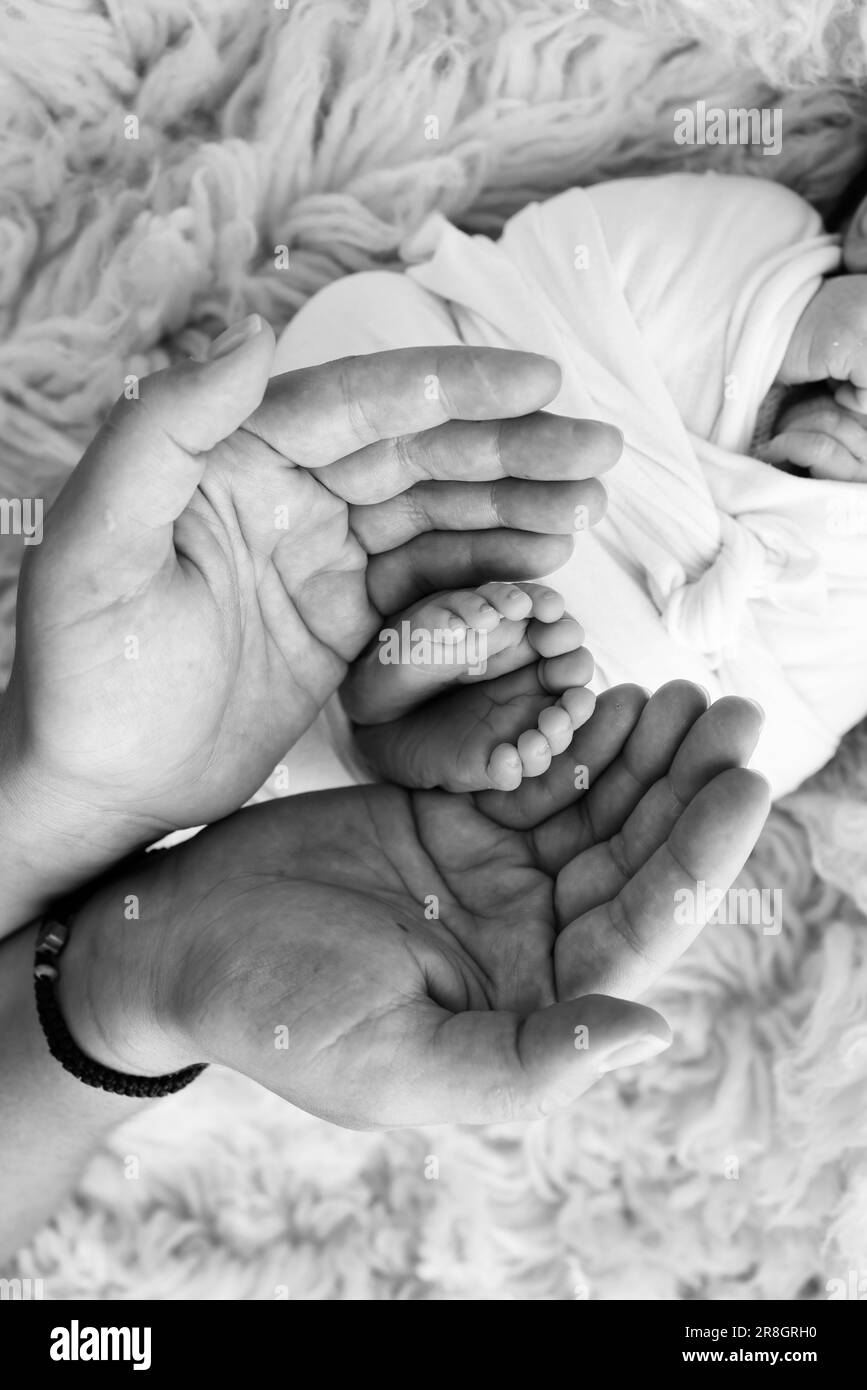 The palms of the father and mother are holding the foot of newborn baby ...