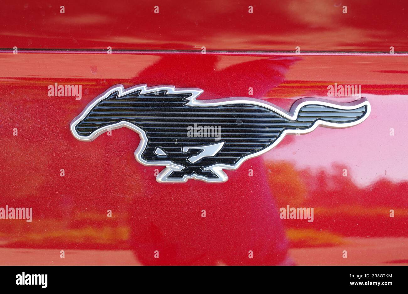 Lage, Germany - June 3 2023 Vlose-up of the emblem of a red Ford ...