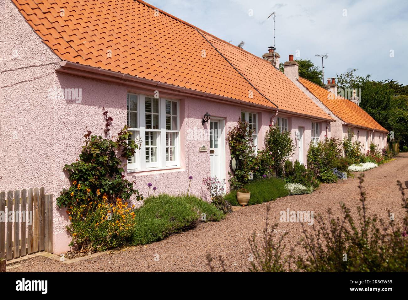 Pretty pink cottages in the conservation village of Tyninghame Stock ...