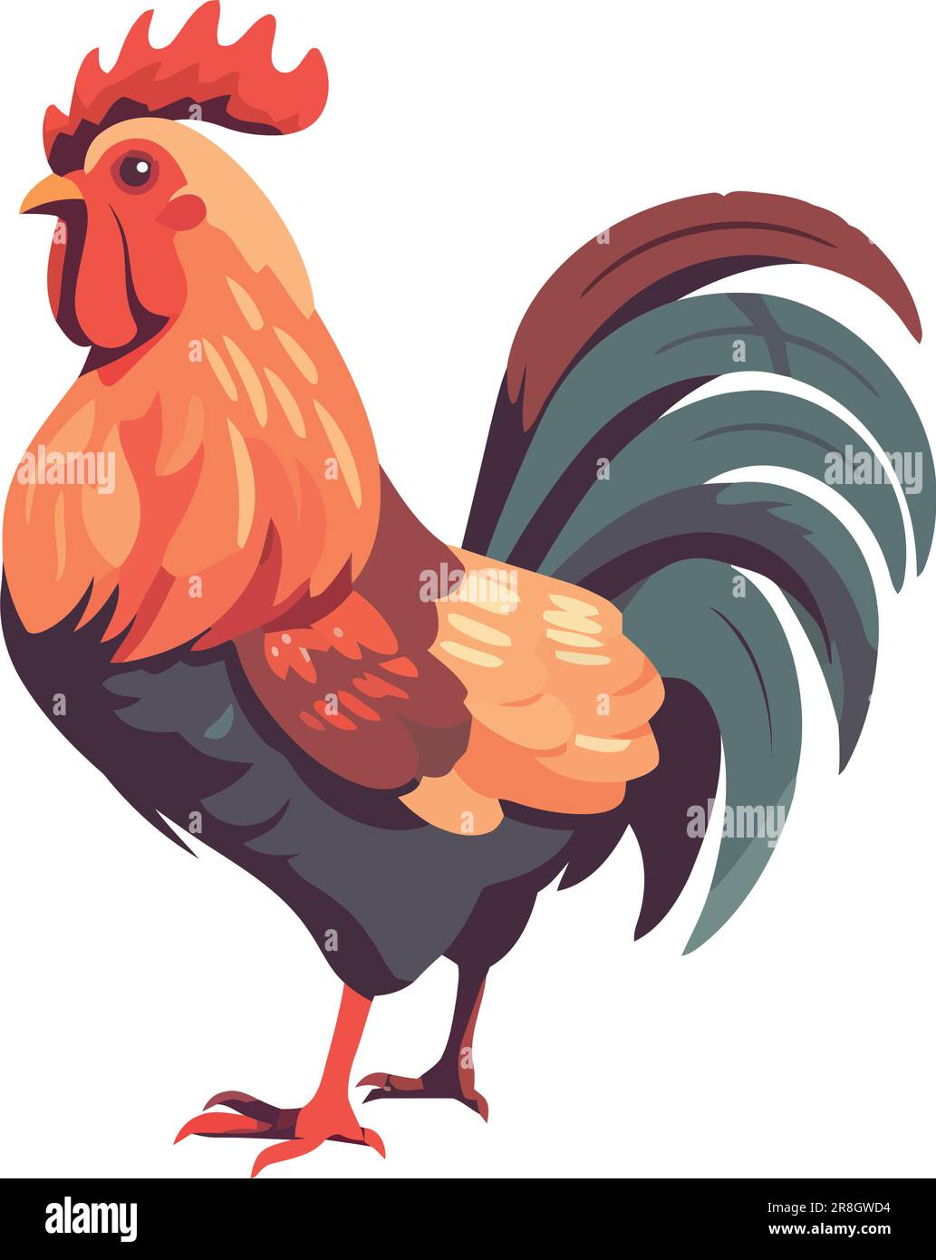 Rooster standing on farm, crowing at dawn Stock Vector Image & Art - Alamy
