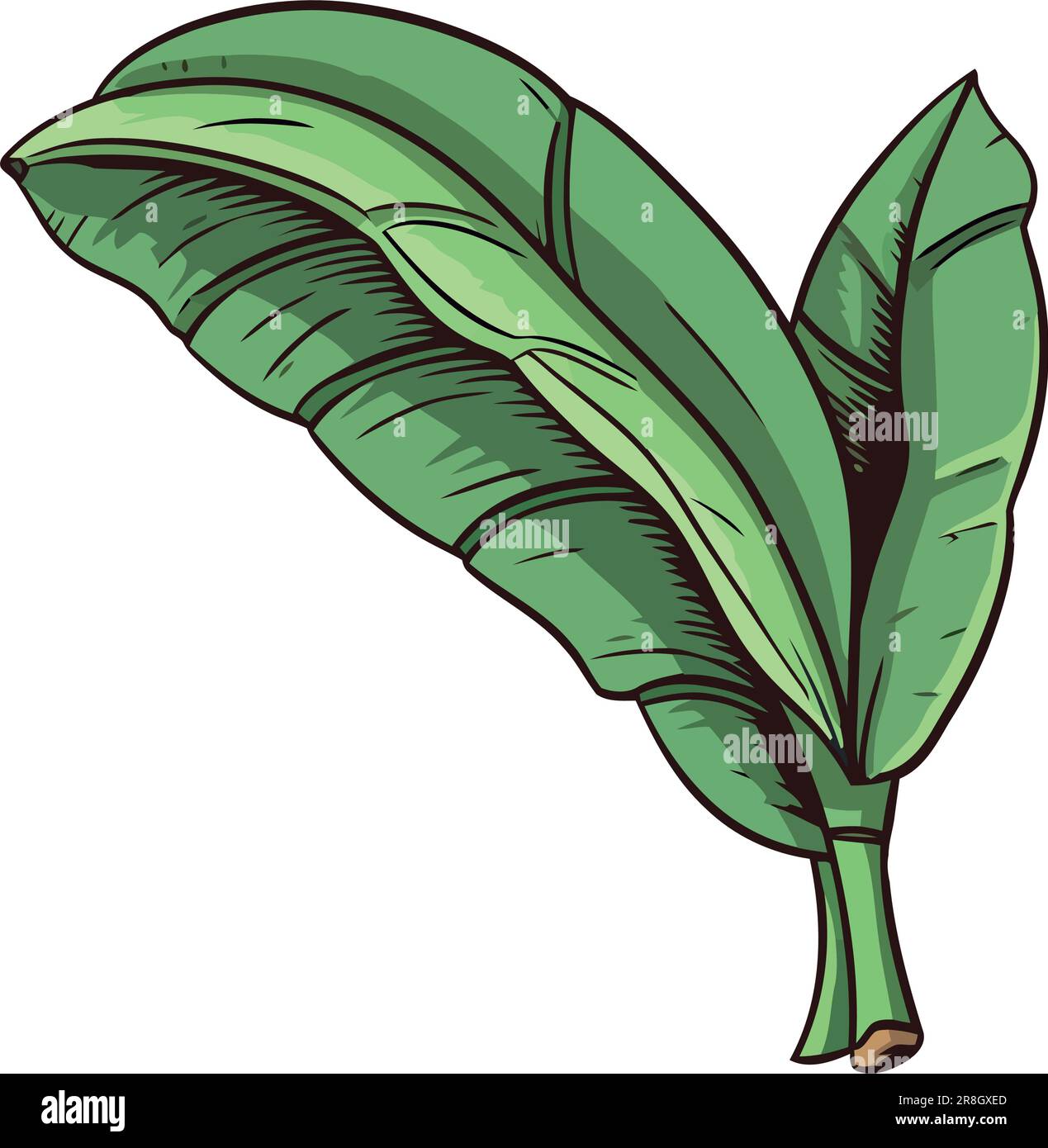 Green forest tree symbolizes organic nature growth Stock Vector Image ...