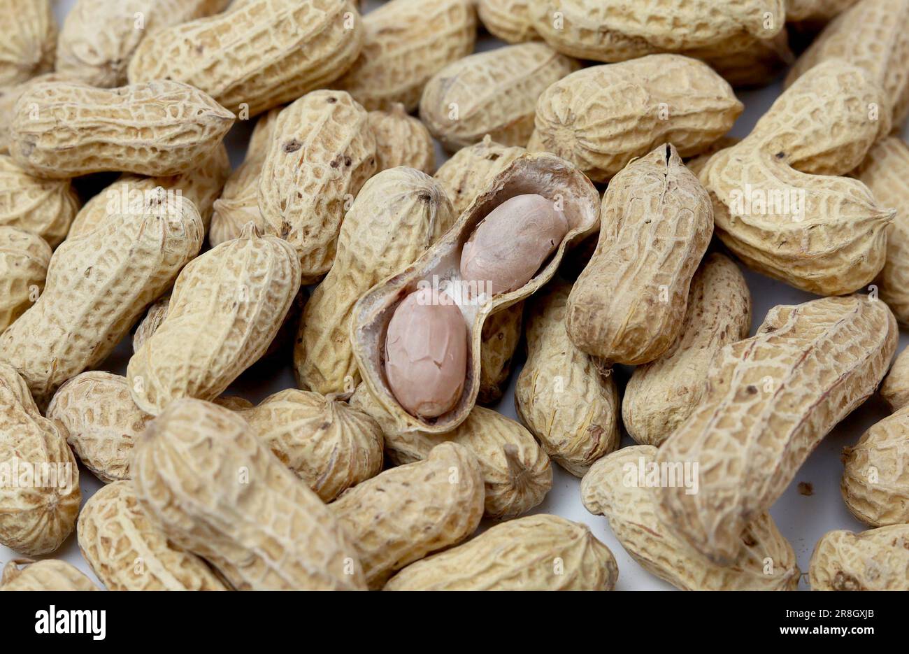 Bunch peanuts on a white background close-up. Macro photography of ...