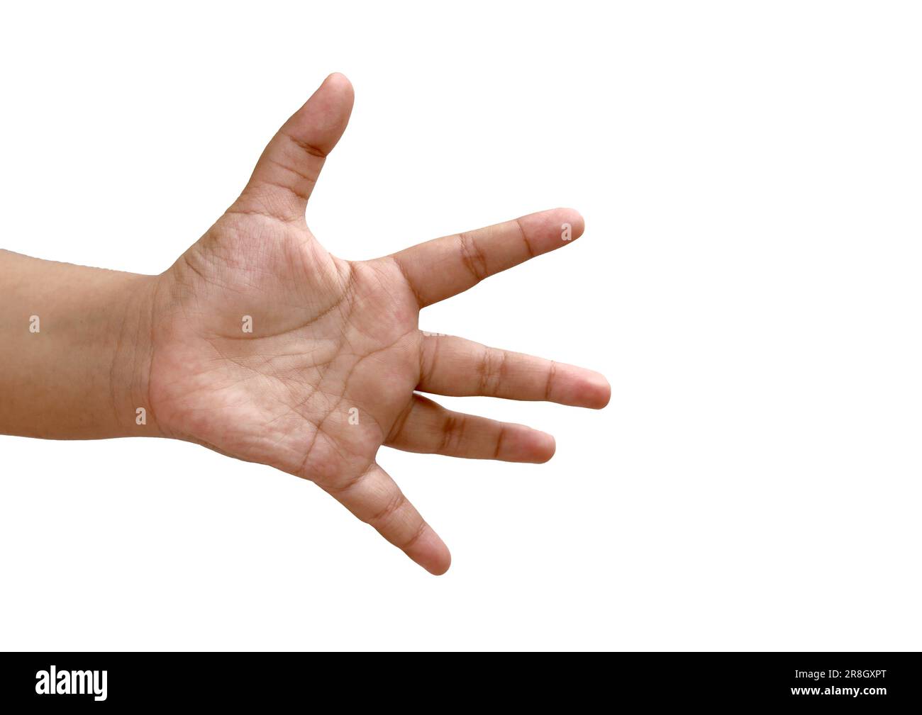 Children's hand, palm gesturing isolated on white studio background ...
