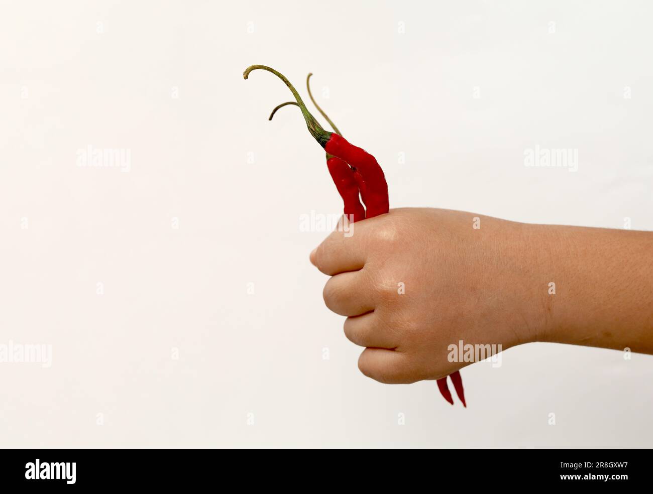 Kid hand holding chillies isolated on white background Stock Photo - Alamy
