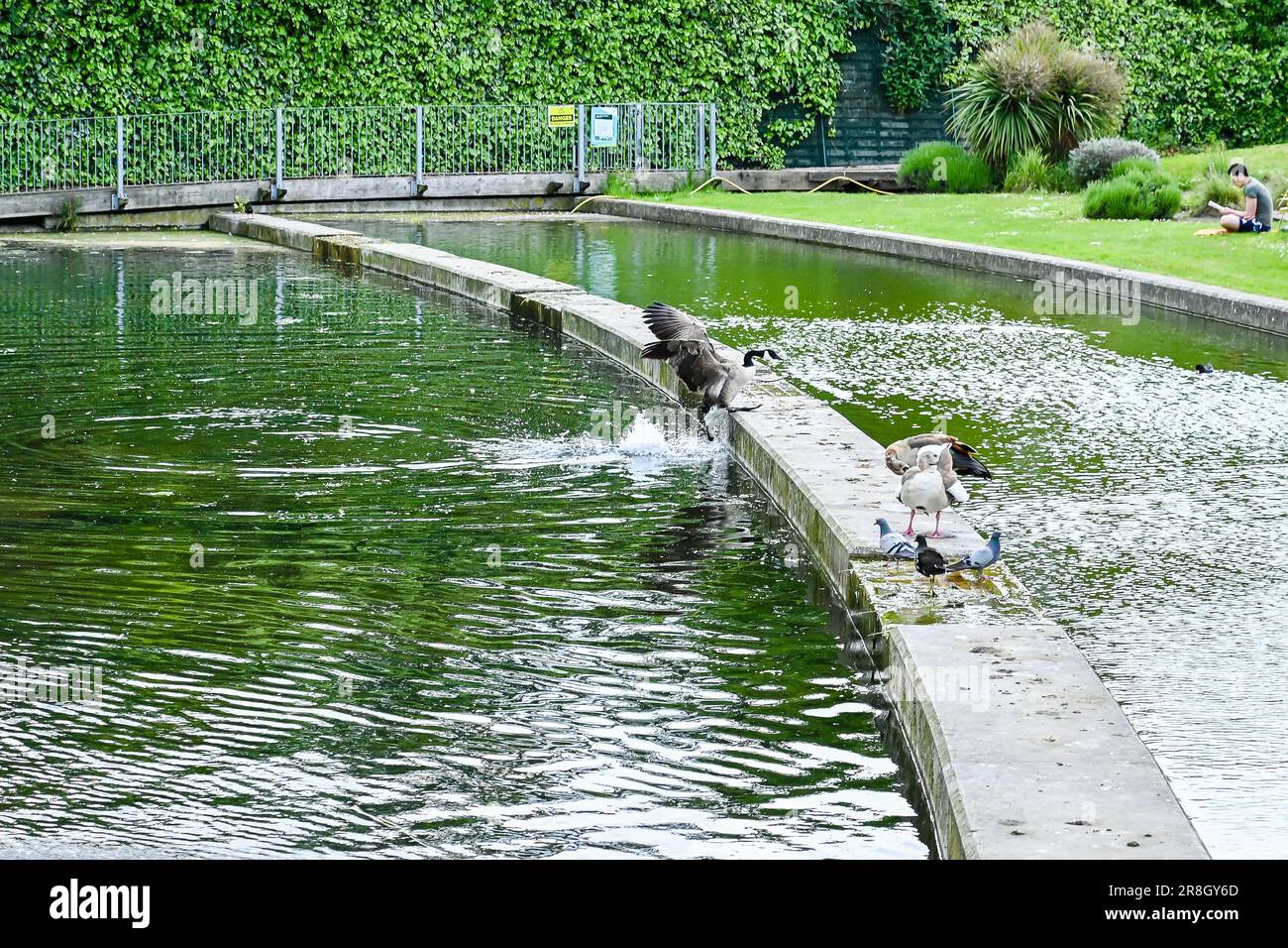 Water feature and plants in the Ecology Pavilion at Mile End Park ...