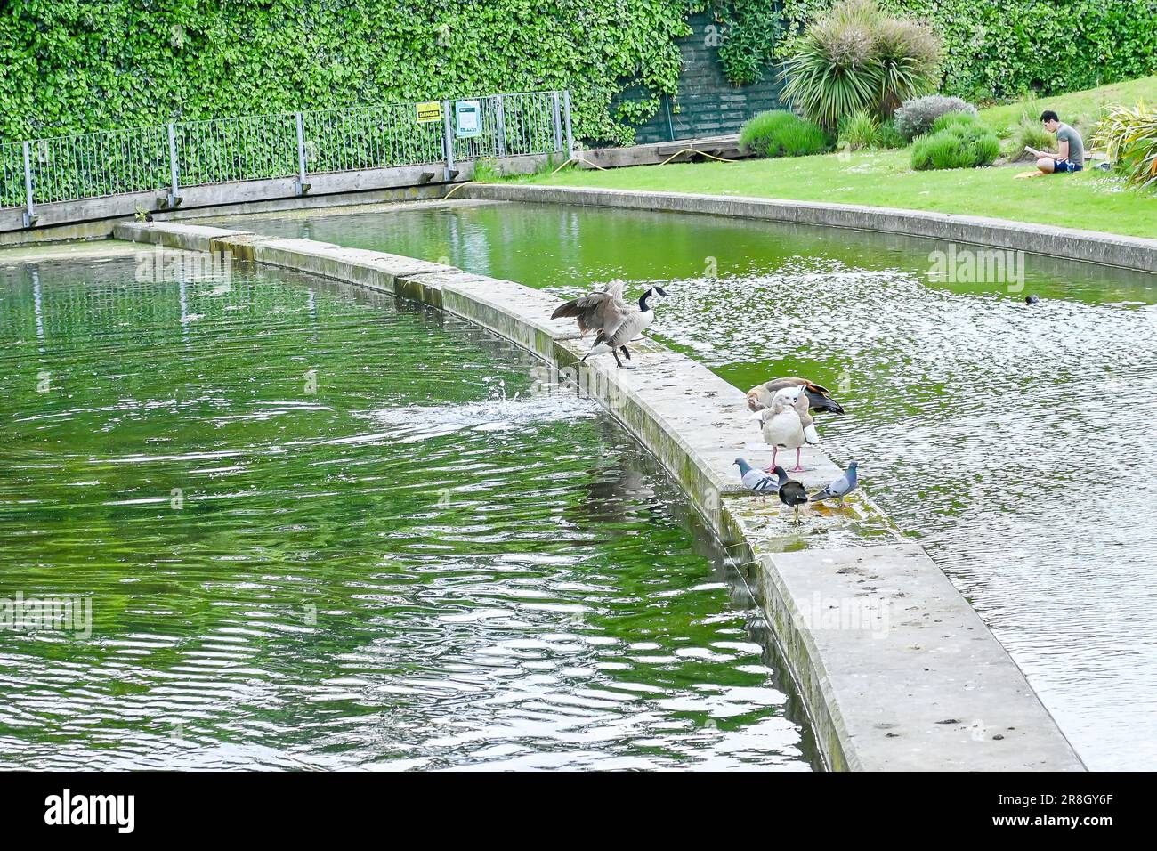 Water feature and plants in the Ecology Pavilion at Mile End Park ...