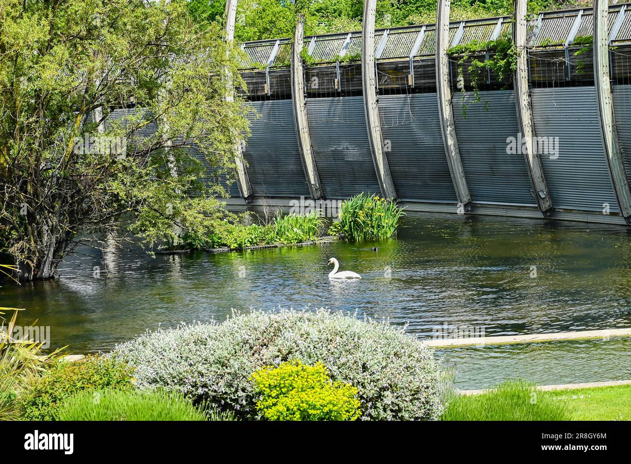 Water feature and plants in the Ecology Pavilion at Mile End Park ...