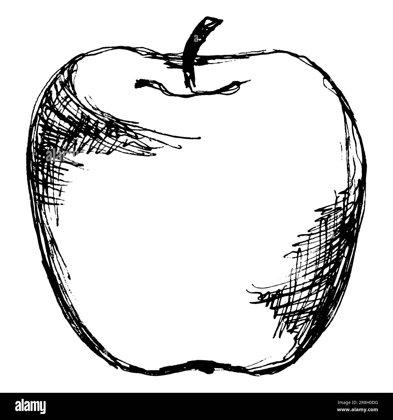 Monochrome apple fruit sketched line art vector Stock Vector Image ...