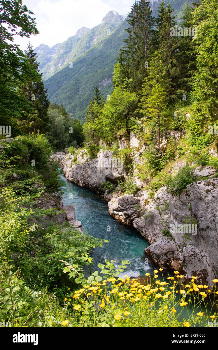 Hiking in the Soca Valley in Slovenia River Stock Photo - Alamy