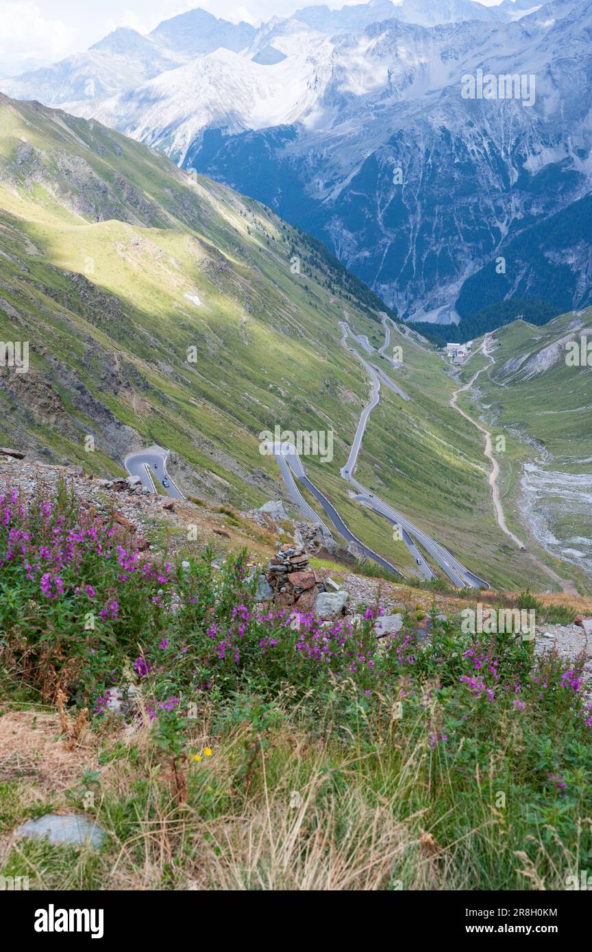 The Italian side of the Stelvio Pass, the legendary mountain route up ...
