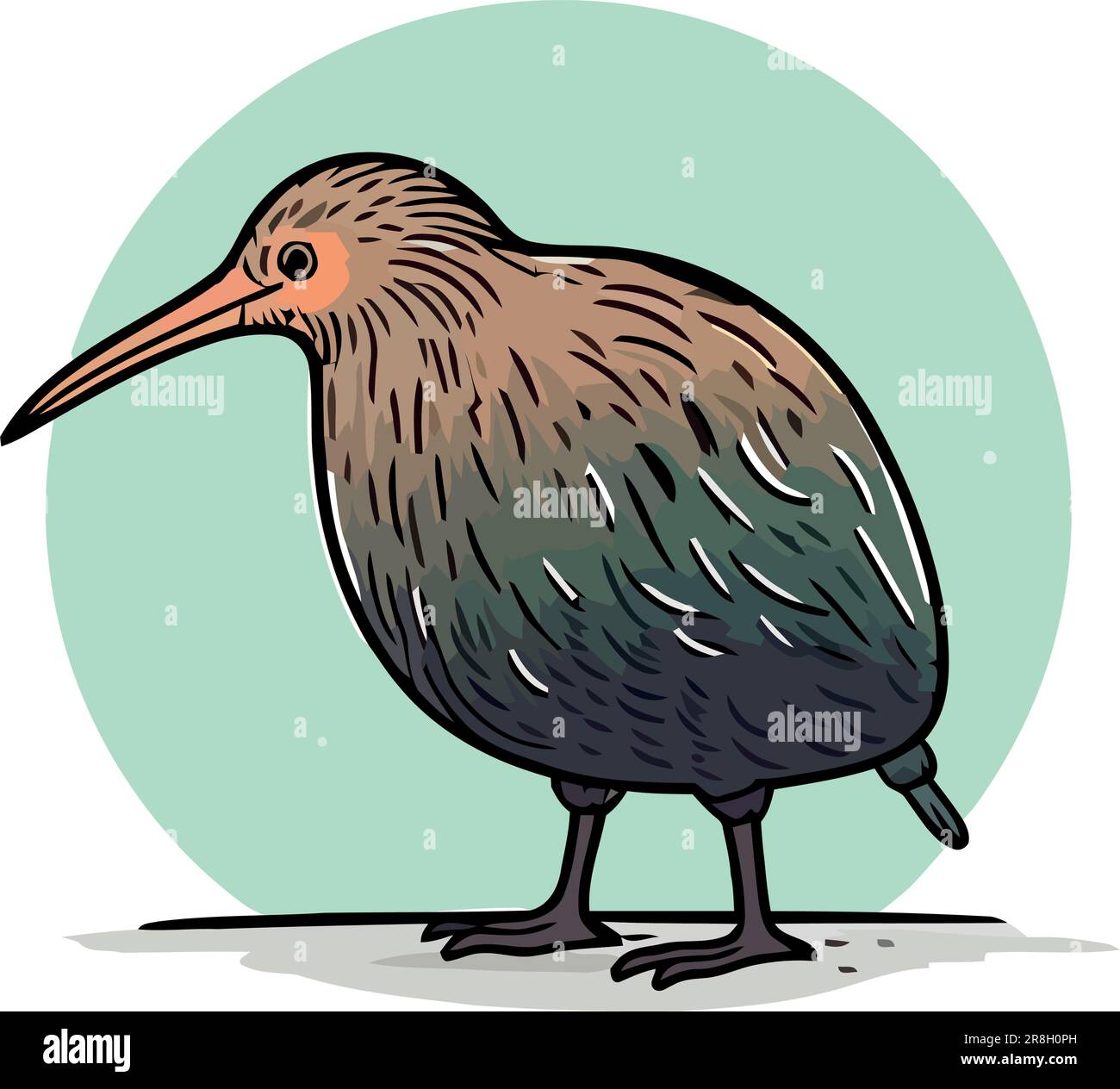 Flying kiwi Stock Vector Images - Alamy
