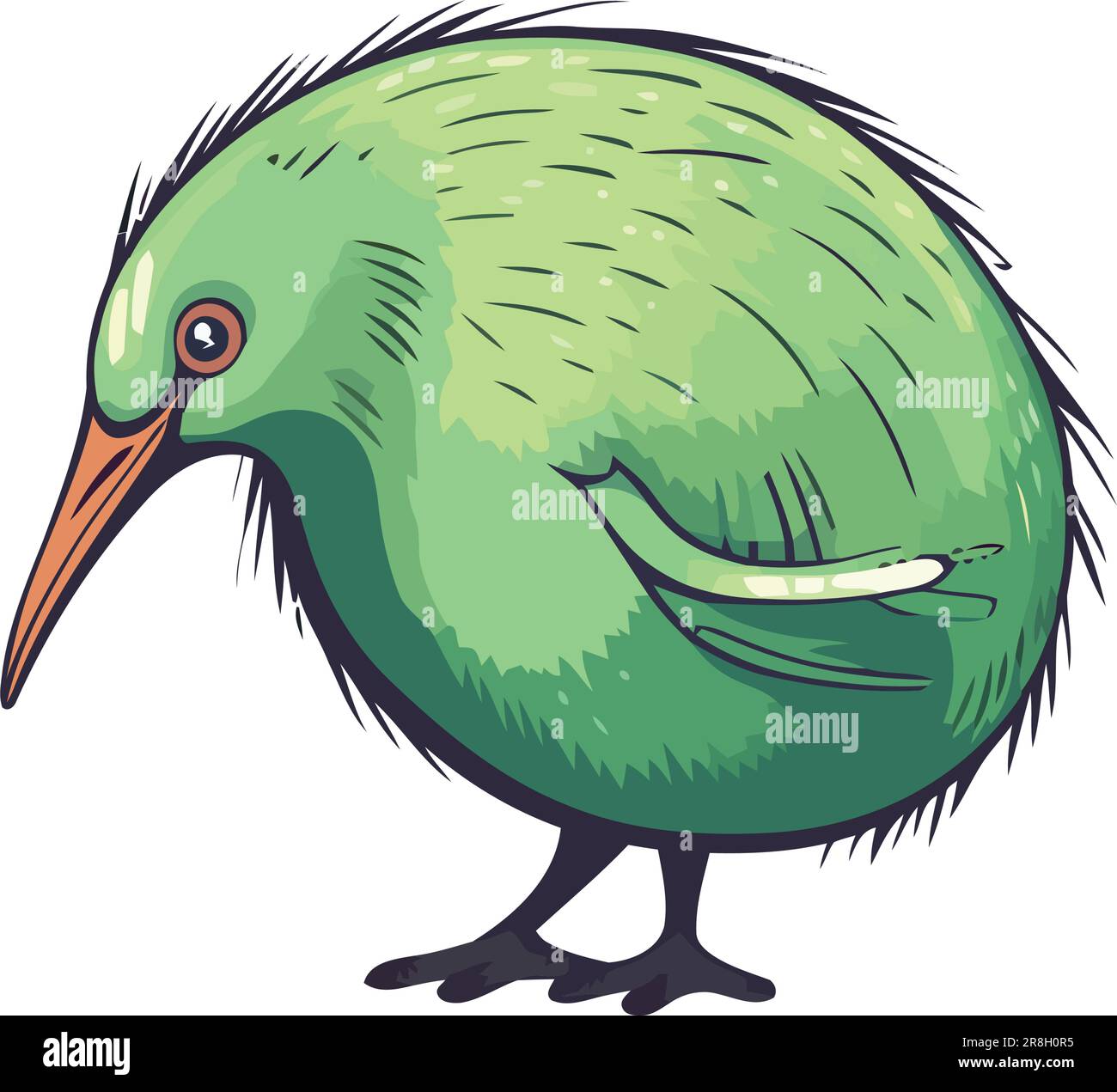 Happy green kiwi cartoon character Stock Vector Images - Alamy