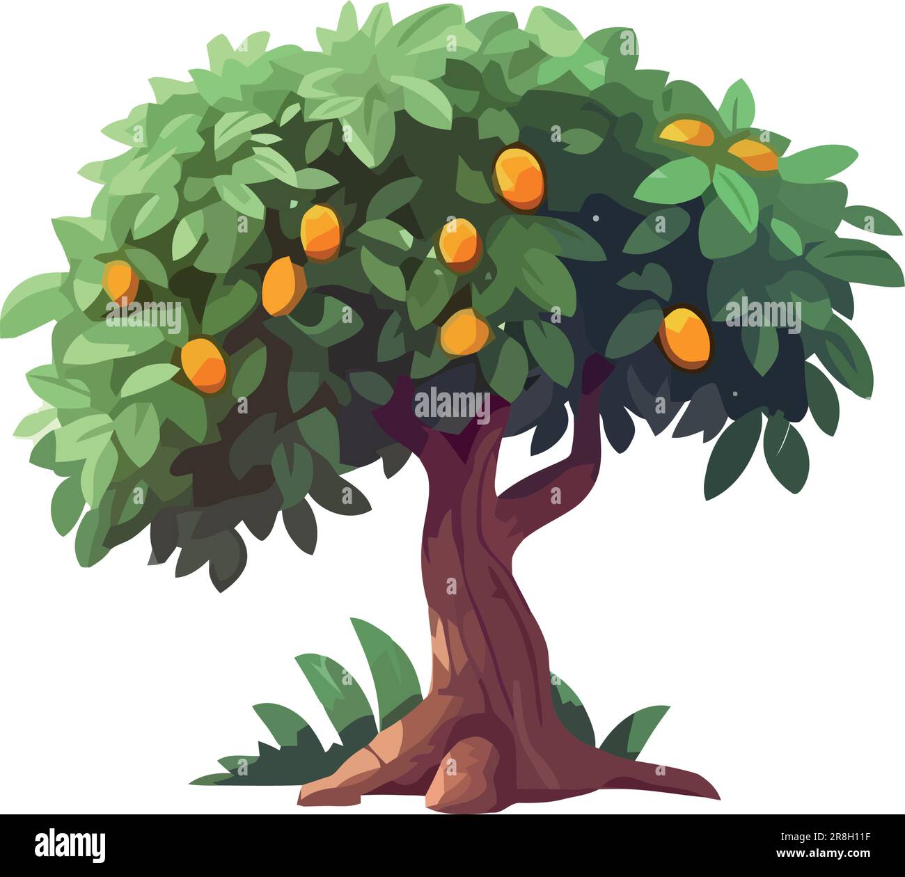 Cartoon mango tree fruit hi-res stock photography and images - Alamy