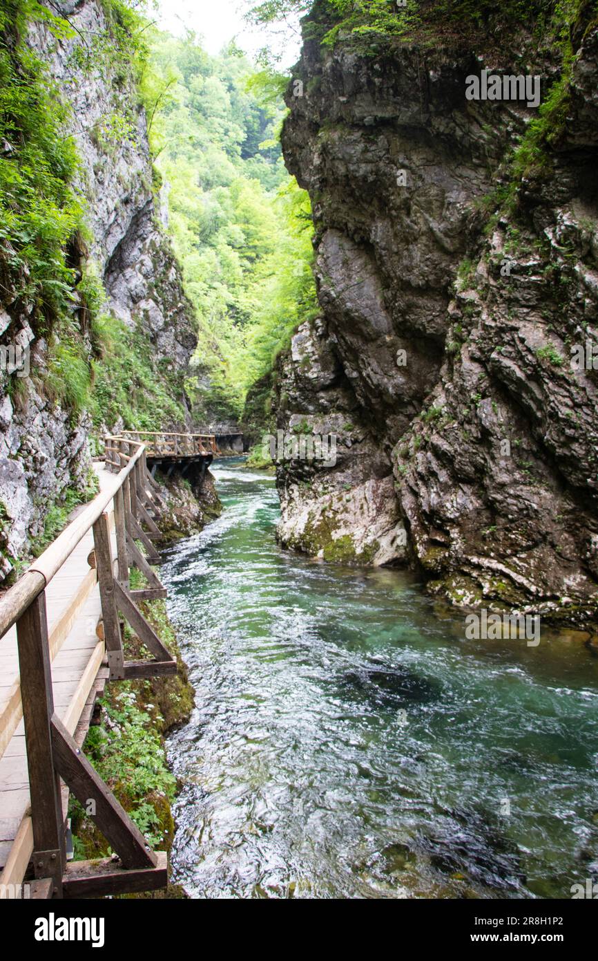 Vintgar Gorge in Slovenia Radovna River Stock Photo - Alamy