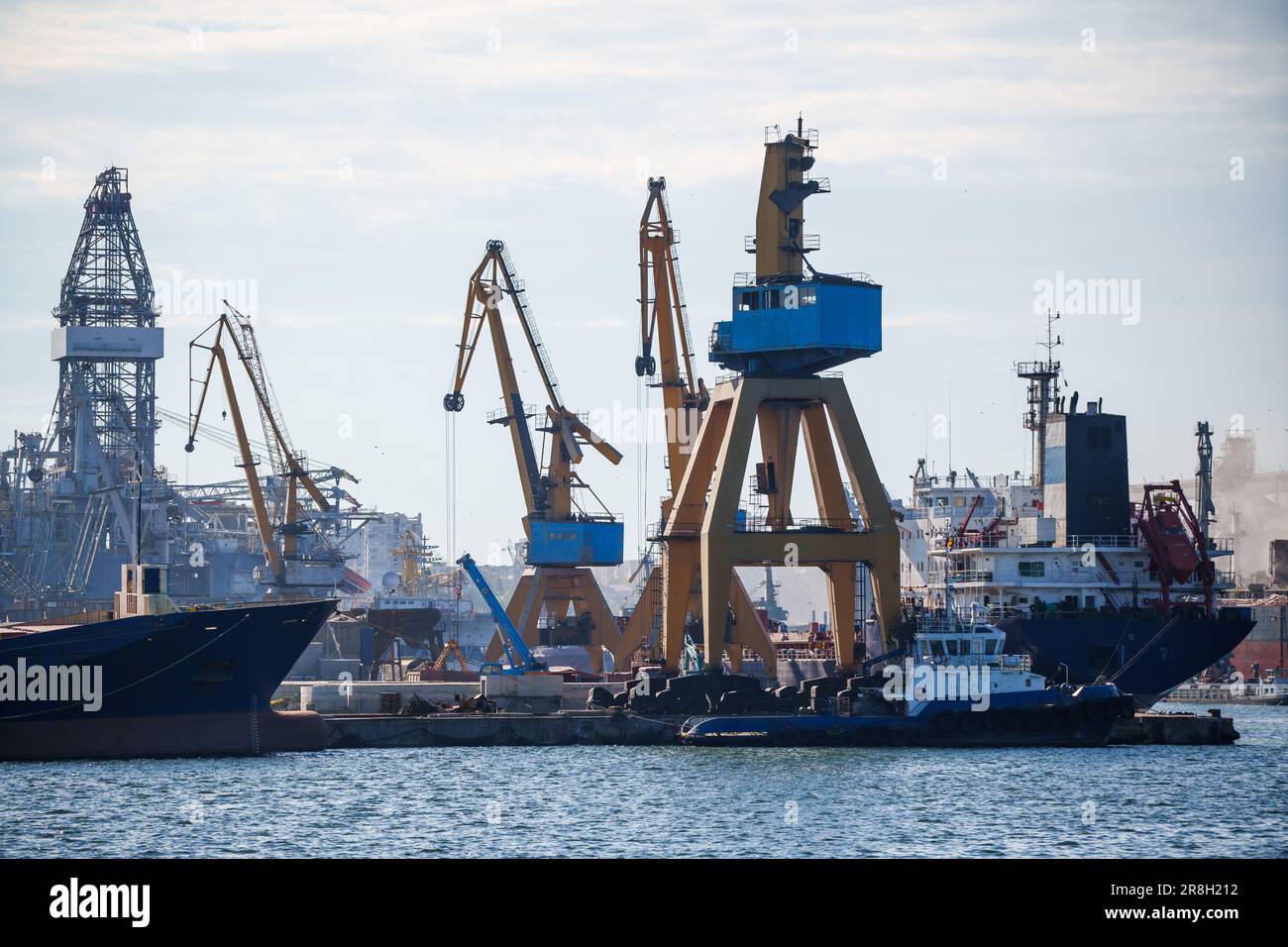 Container terminal, with cranes, in a commercial port Stock Photo - Alamy