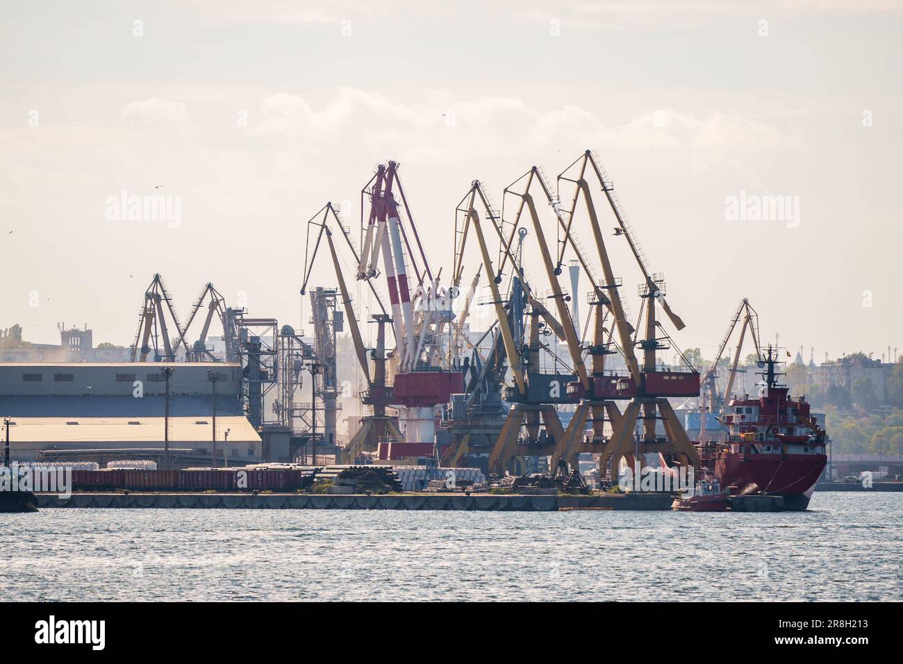Container terminal, with cranes, in a commercial port Stock Photo - Alamy
