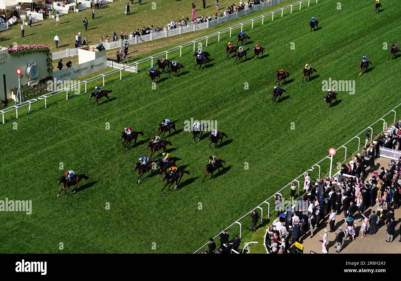 Runners and riders cross the finish line in the Royal Hunt Cup during ...