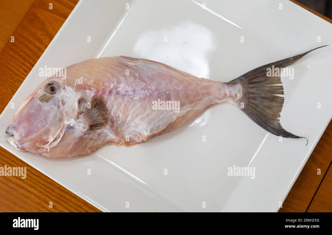 Clean and seasoned Peroá fish (Balistes capriscus) . Typical fish from ...