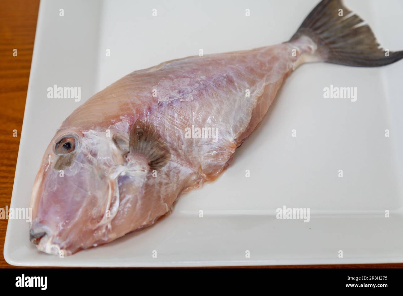 Clean and seasoned Peroá fish (Balistes capriscus) . Typical fish from ...
