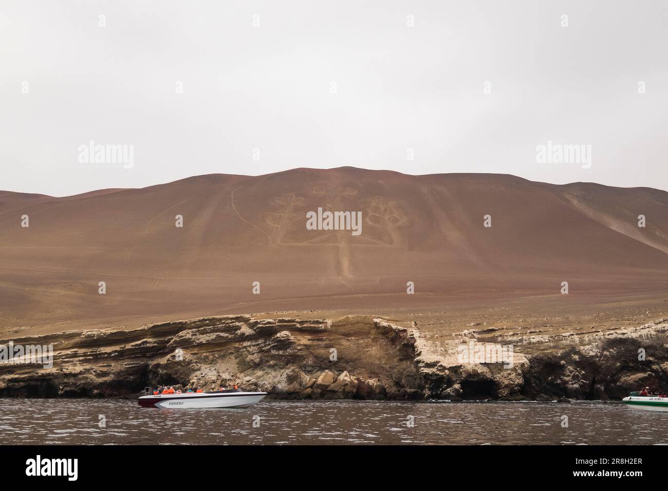 Perù. Paracas. Natural reserve. Ballestas island Stock Photo - Alamy