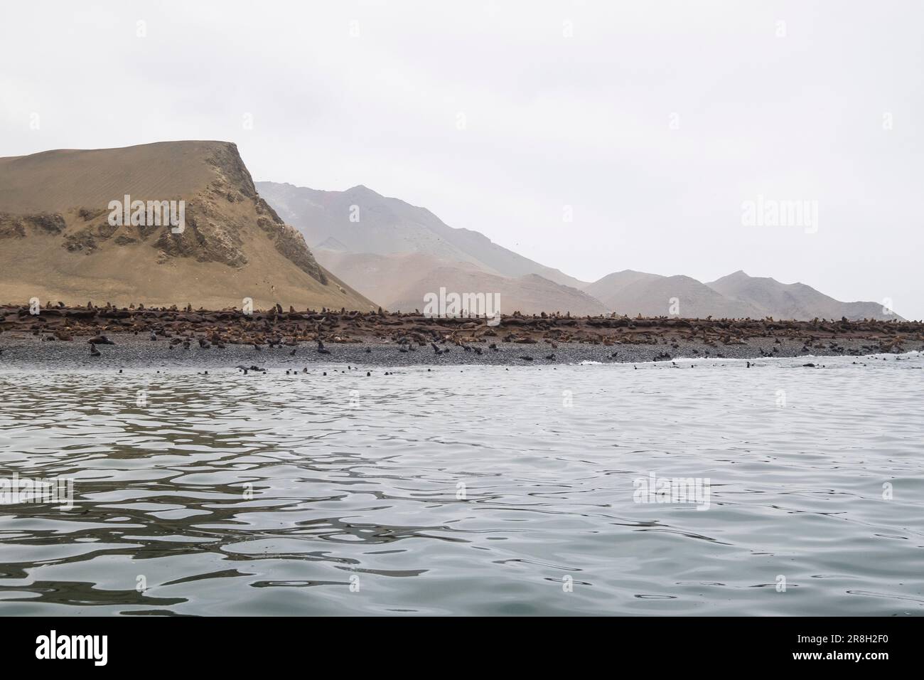 Perù. Paracas. Natural reserve. Ballestas island Stock Photo - Alamy