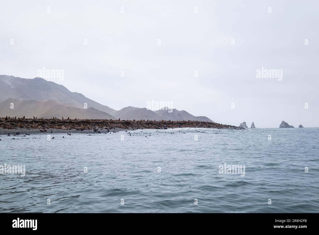 Perù. Paracas. Natural reserve. Ballestas island Stock Photo - Alamy