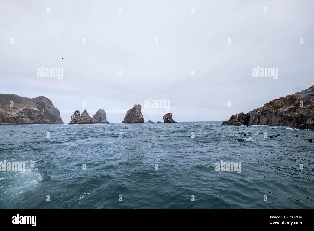 Perù. Paracas. Natural reserve. Ballestas island Stock Photo - Alamy