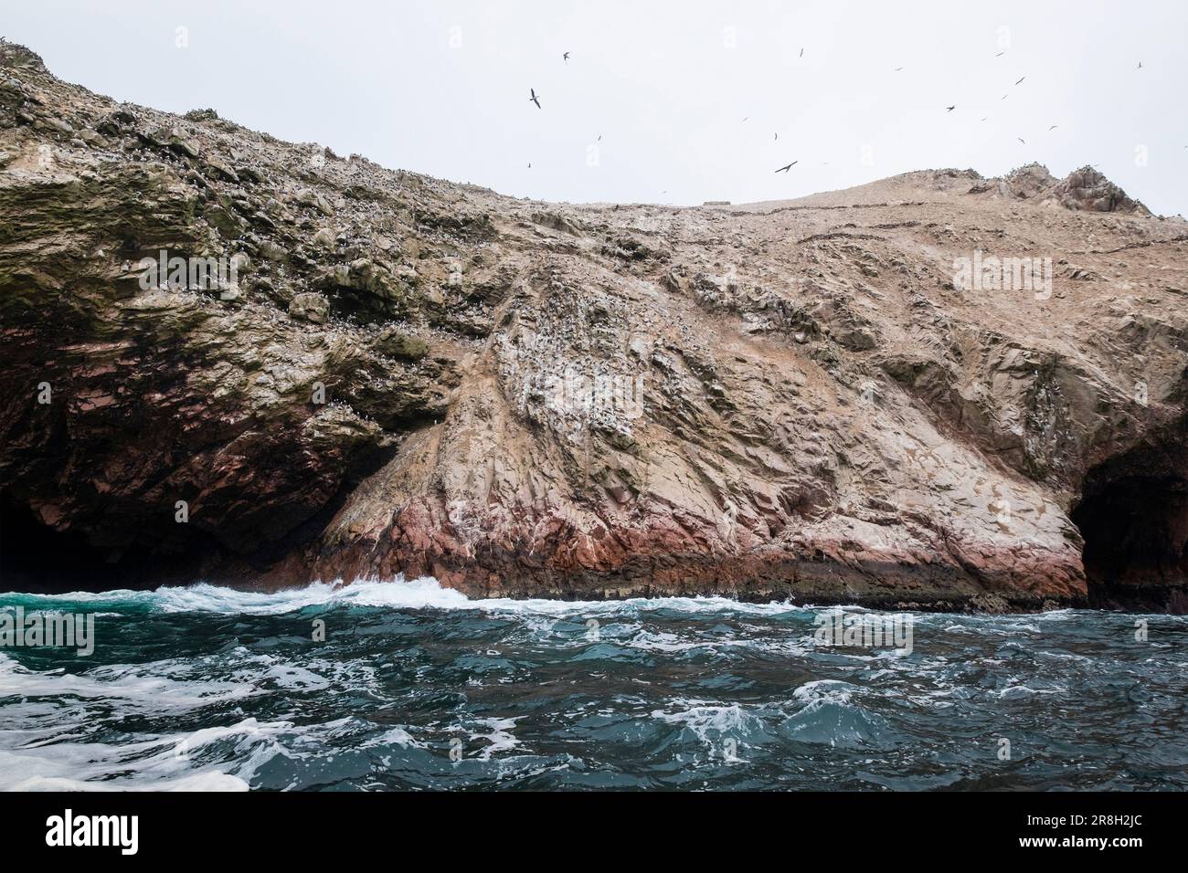 Perù. Paracas. Natural reserve. Ballestas island Stock Photo - Alamy