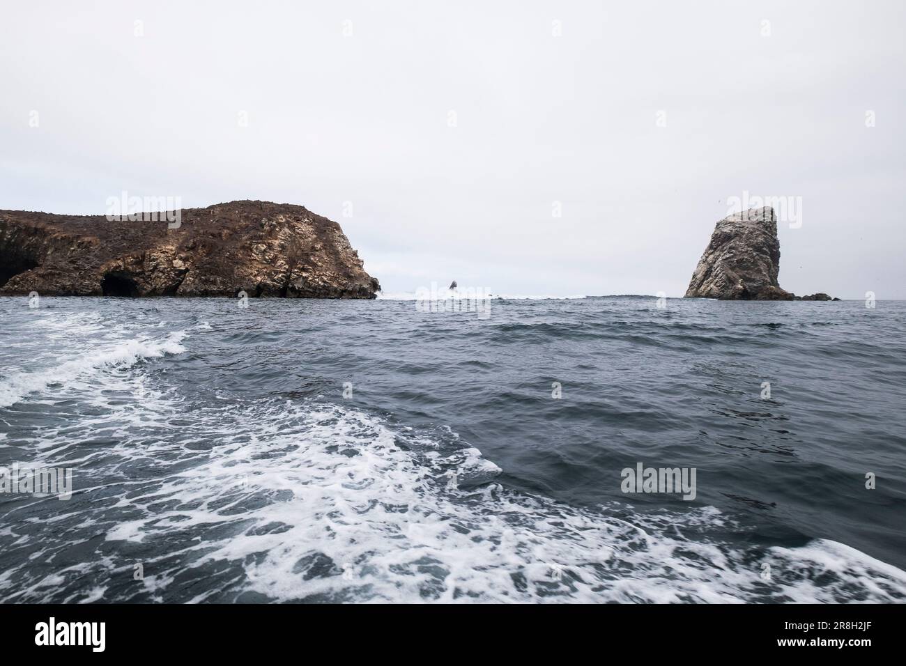 Perù. Paracas. Natural reserve. Ballestas island Stock Photo - Alamy
