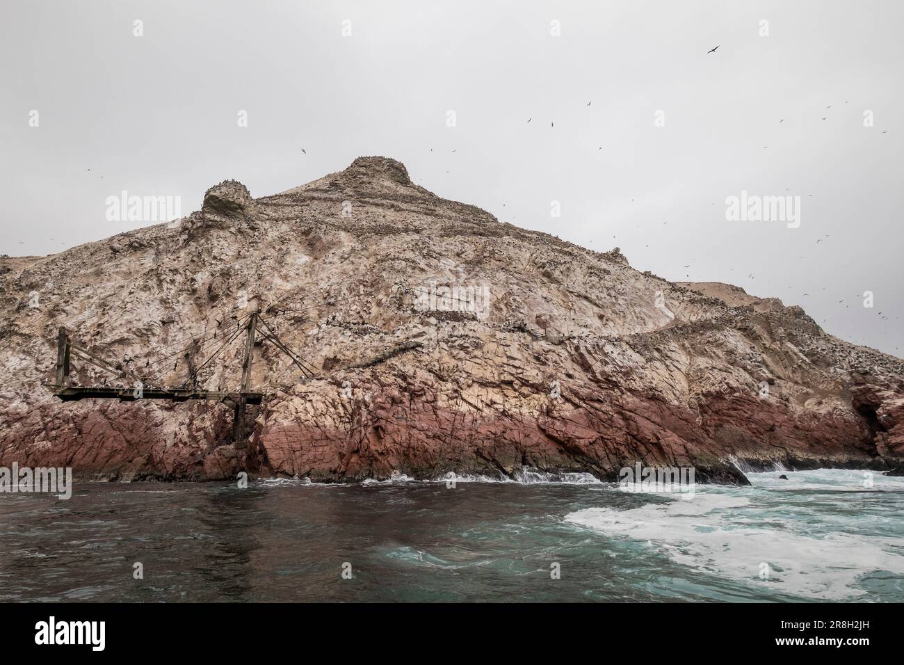 Perù. Paracas. Natural reserve. Ballestas island Stock Photo - Alamy