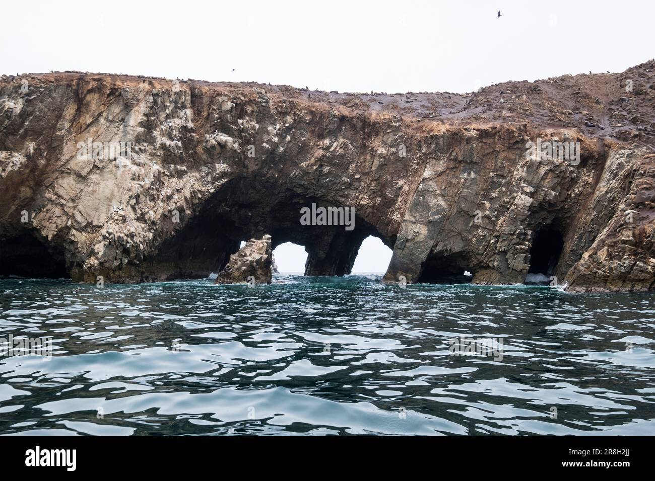 Perù. Paracas. Natural reserve. Ballestas island Stock Photo - Alamy